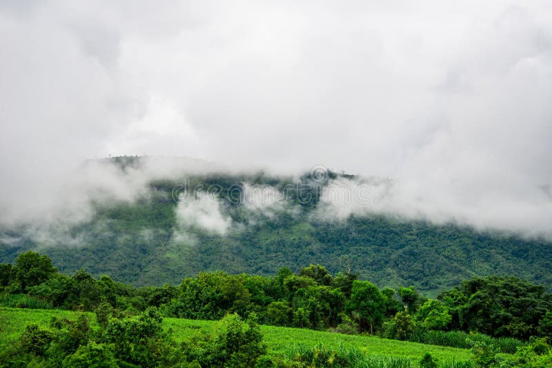 Fog Wind flow stock photo. Image of scenery, cloud, morning - 58453796