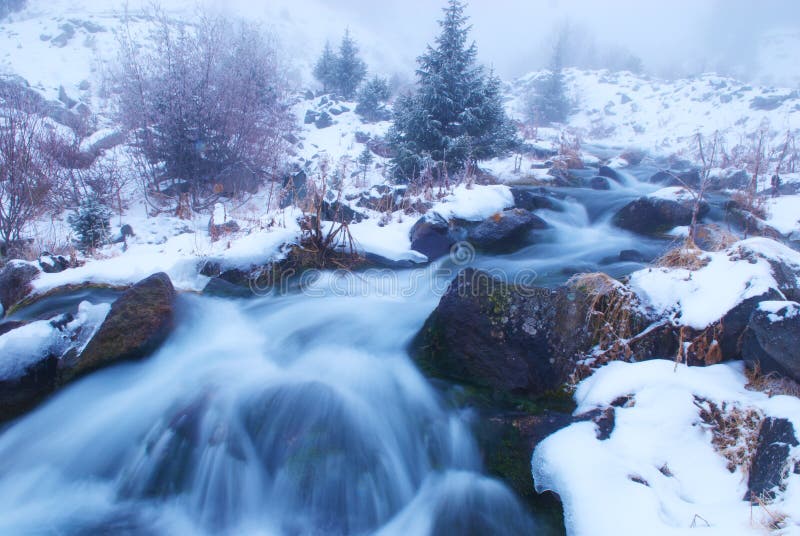 Winter Scene with Stream stock photo. Image of forest - 3876400