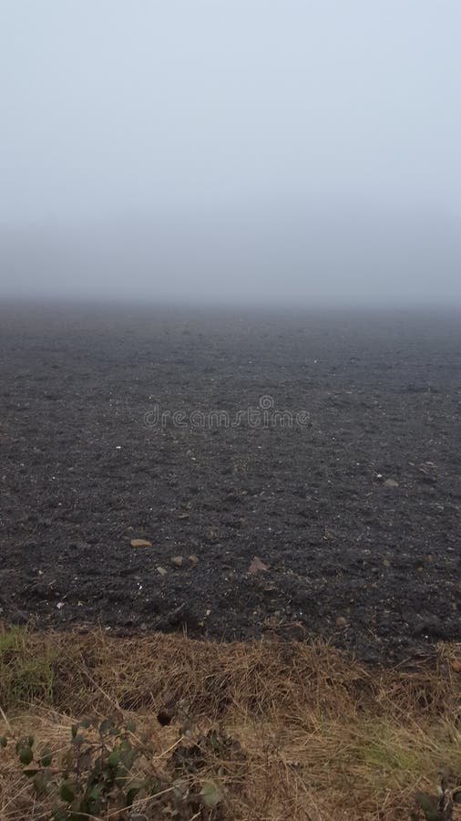 The fog stock image. Image of mysterious, fogey, filed - 190328603