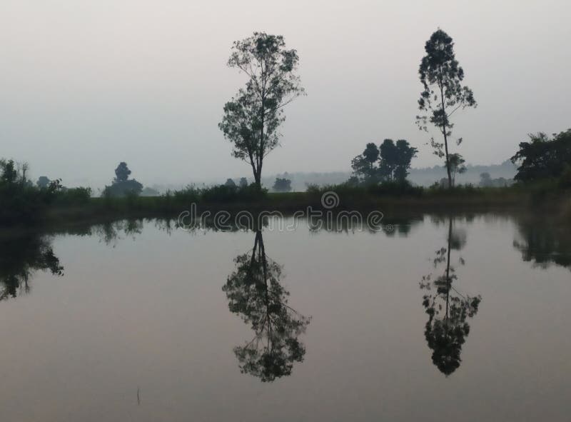 The Foggy Morning in Villages. Stock Photo - Image of villages, family ...