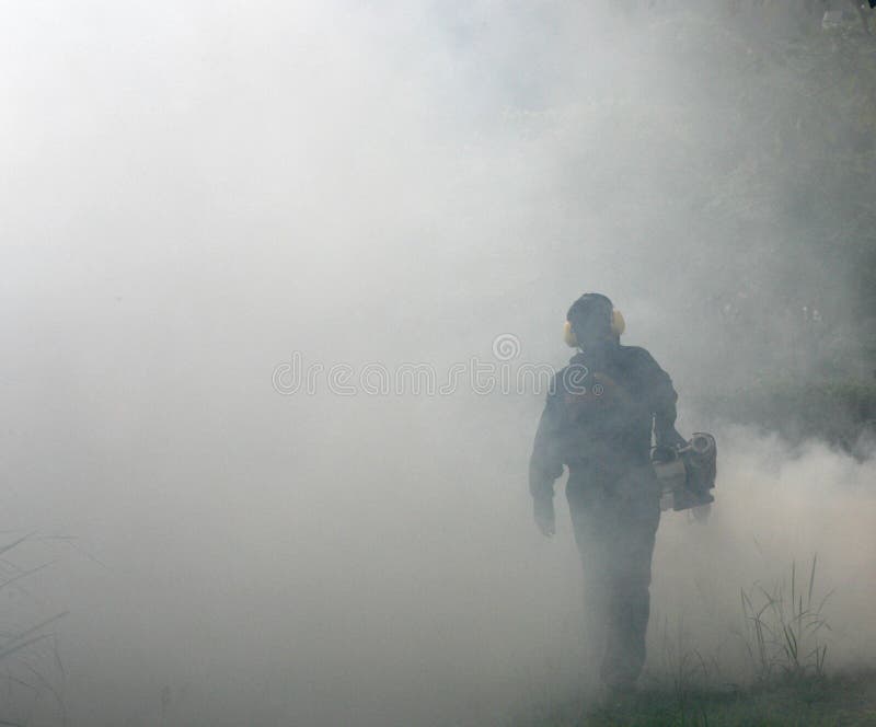 Fogging stock image. Image of biology, horizontal, mosquito - 5921287