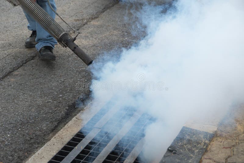 Fogging mosquito stock photo. Image of malaria, disease - 62775924