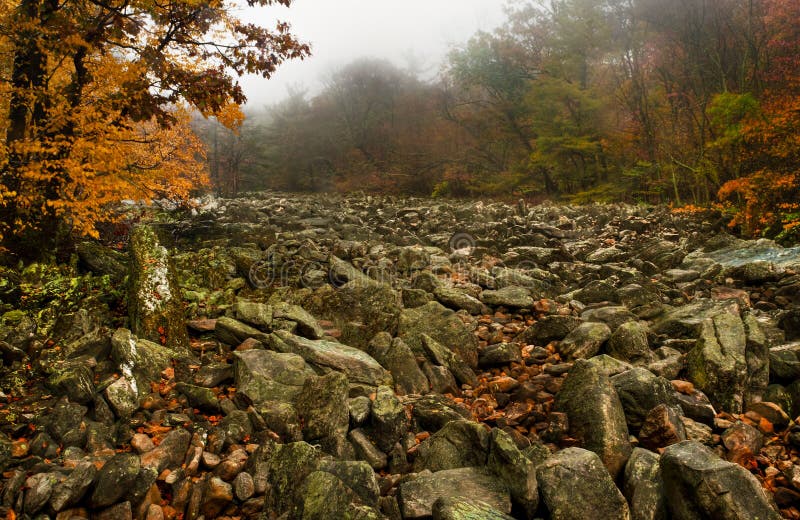Foggy Autumn on Devil S Racecourse Stock Photo - Image of geological ...