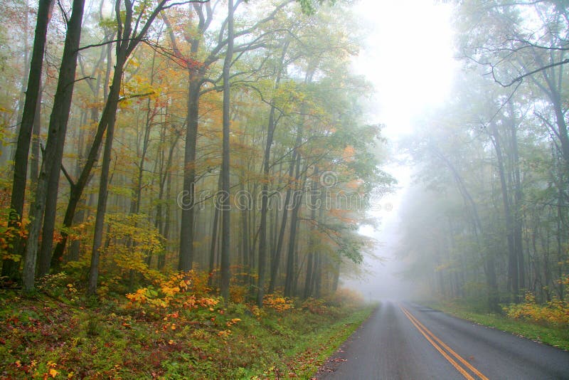 Foggy autumn drive stock image. Image of colors, spectacular - 15847759