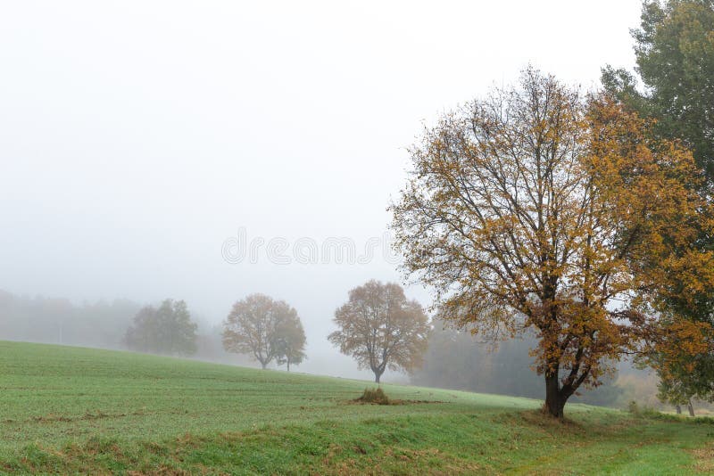 Foggy Autumn Morning. Autumn Landscape Stock Photo - Image of focus ...