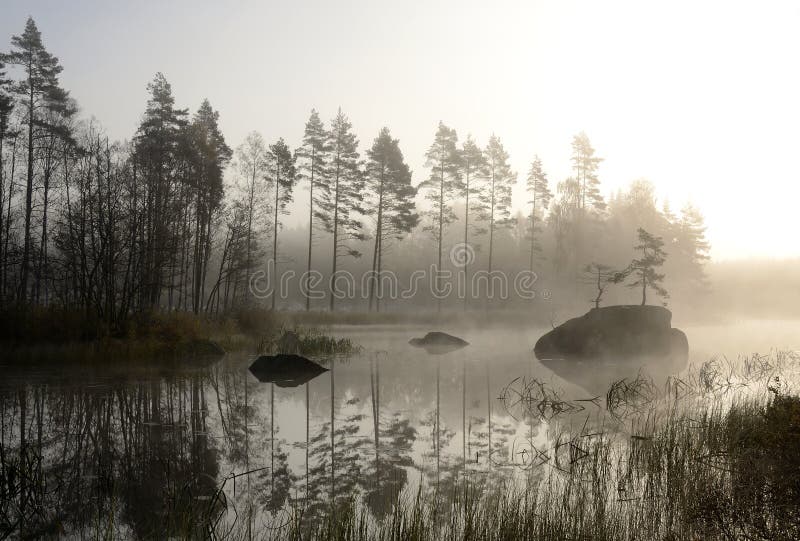 The Foggy Autumn S Landscape Stock Photo - Image of mirror, mystic ...