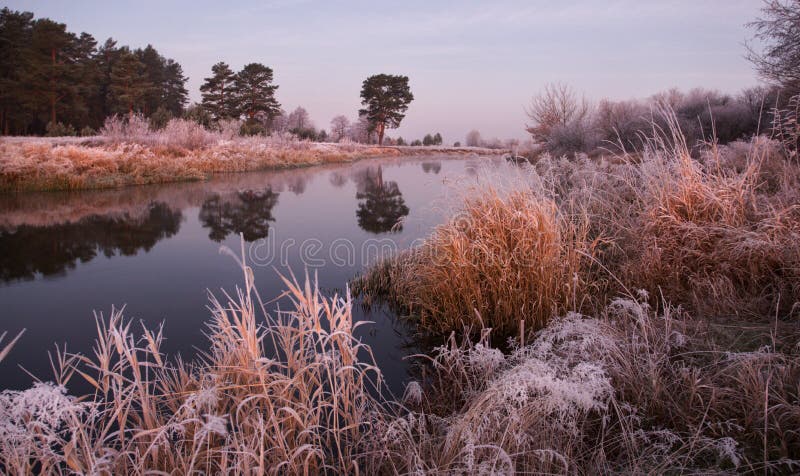 Autumn sunrise stock image. Image of trees, sunrize, europe - 63220427