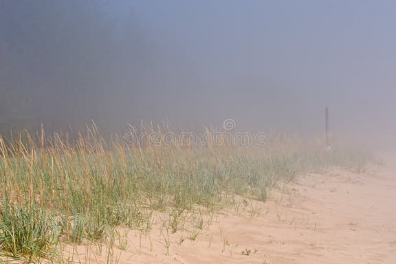 Foggy beach stock image. Image of coast, scene, nature - 2614799