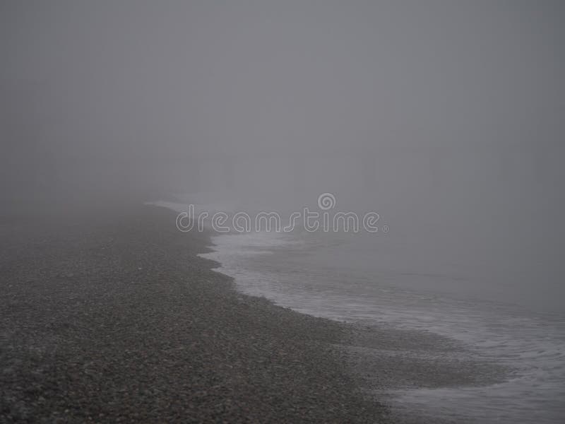 Foggy beach stock photo. Image of landscape, sunrise - 375013820