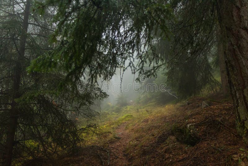 Foggy cold mountains stock photo. Image of landscape - 130389124