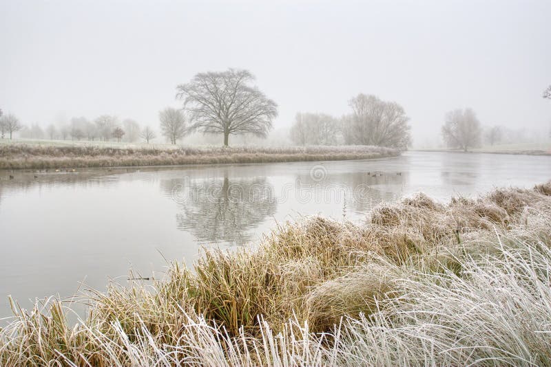 A Foggy Cold Winter Morning Stock Image - Image of ground, yellow: 8335515