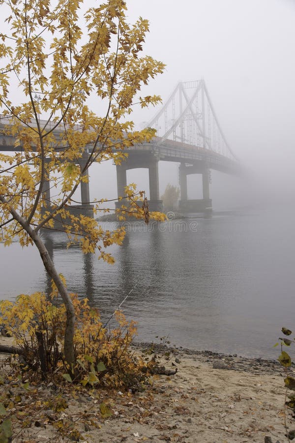 Foggy day stock image. Image of silently, uncertainty - 7505087
