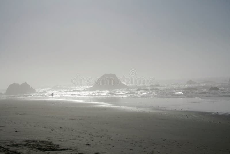 Foggy day at the beach stock image. Image of seashore - 8285427