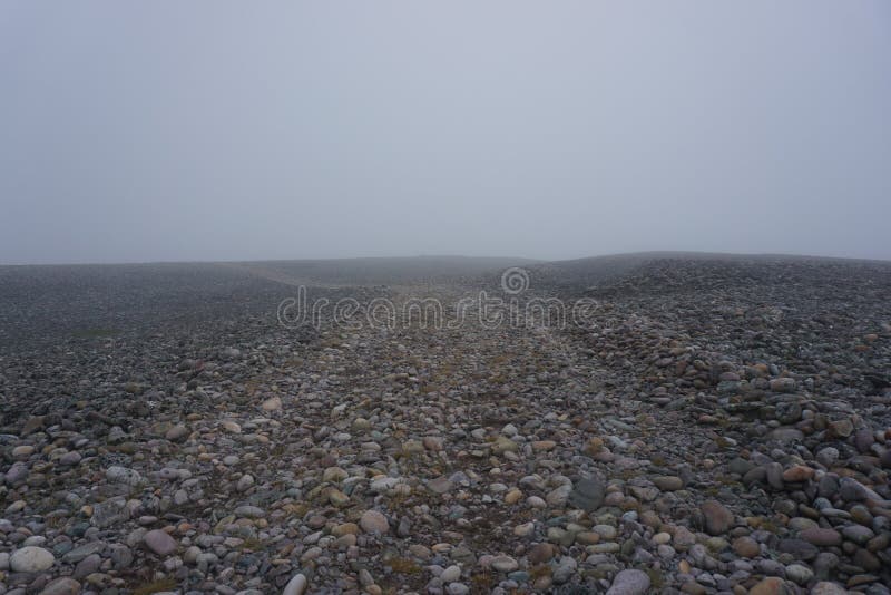 A foggy day stock image. Image of naturephoto, naturephotography - 94477371