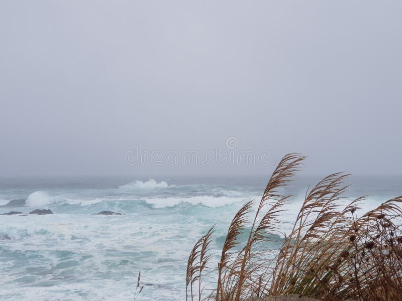 Foggy day stock photo. Image of natural, wavy, windy - 129360440
