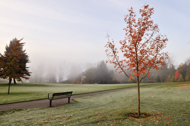 Foggy Deer Lake Park in Autumn Stock Photo - Image of leaf, mist: 6886936