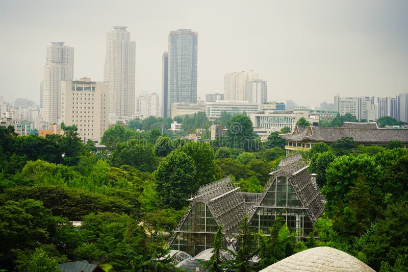 Foggy Downtown Building Skyline Behind Park Landscape Editorial Photo ...