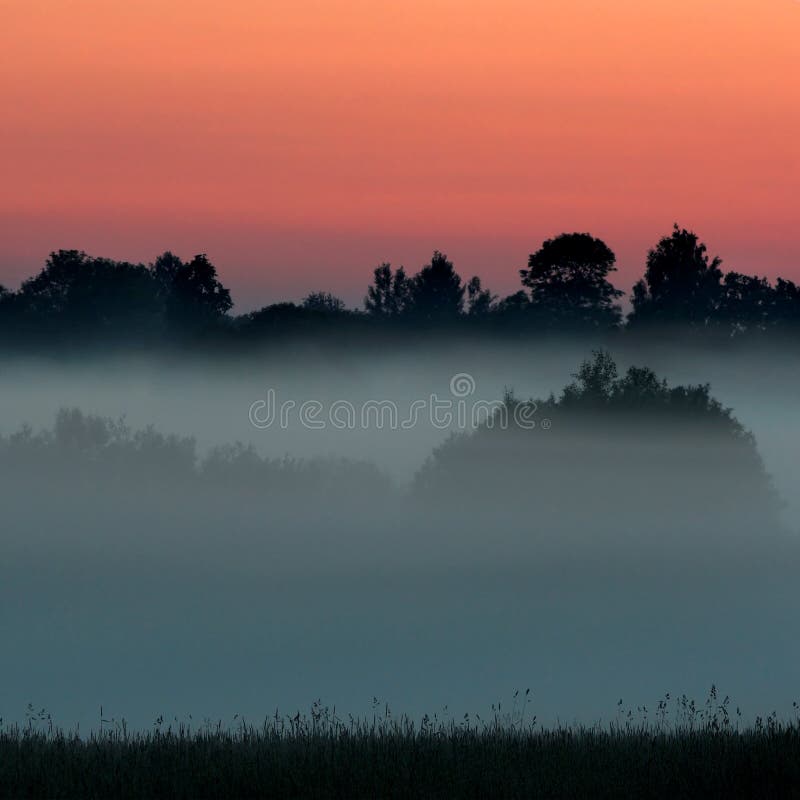 Foggy evening and sunset stock photo. Image of nature - 2832854