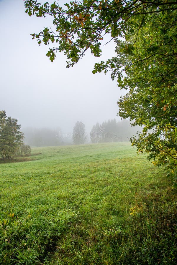 Foggy Fairy Tail Green Forest with Field Stock Image - Image of rural ...