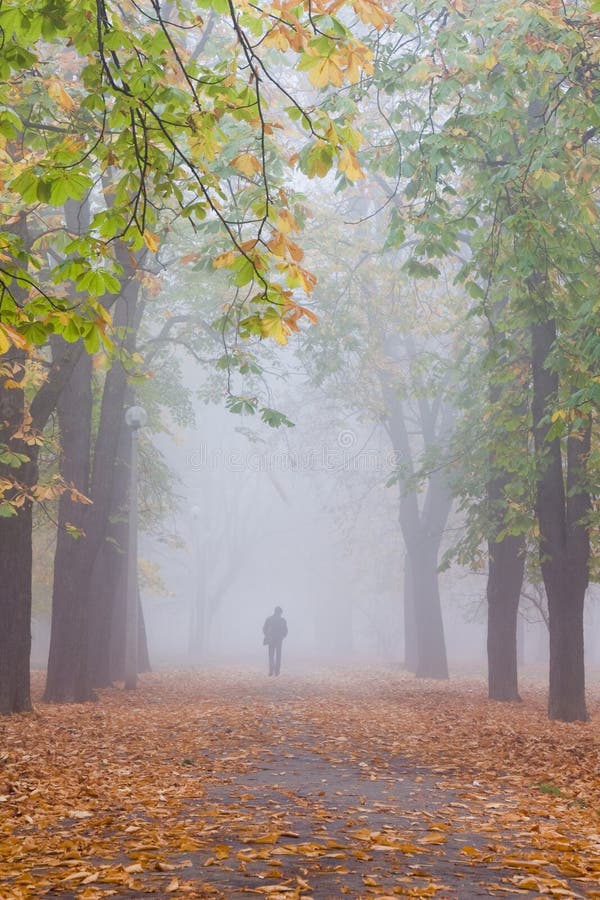 Foggy Fall River Scene stock image. Image of river, bolders - 49899