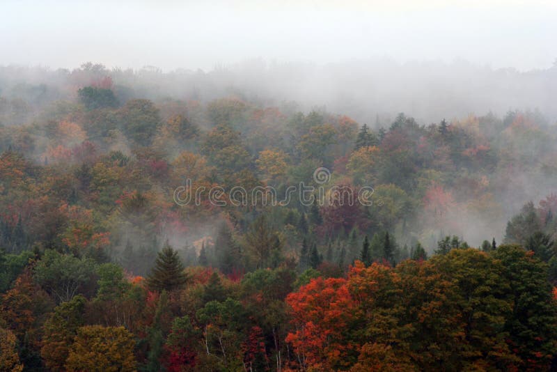 Fire in the night stock image. Image of conflagration, smoke - 575813