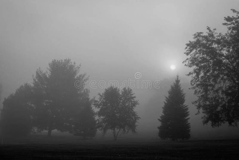 Foggy Fall Morning stock image. Image of morning, fall - 34555585