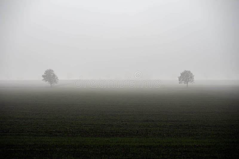 In Foggy Field, Overlooking Empty Space Stock Photo - Image of misty ...