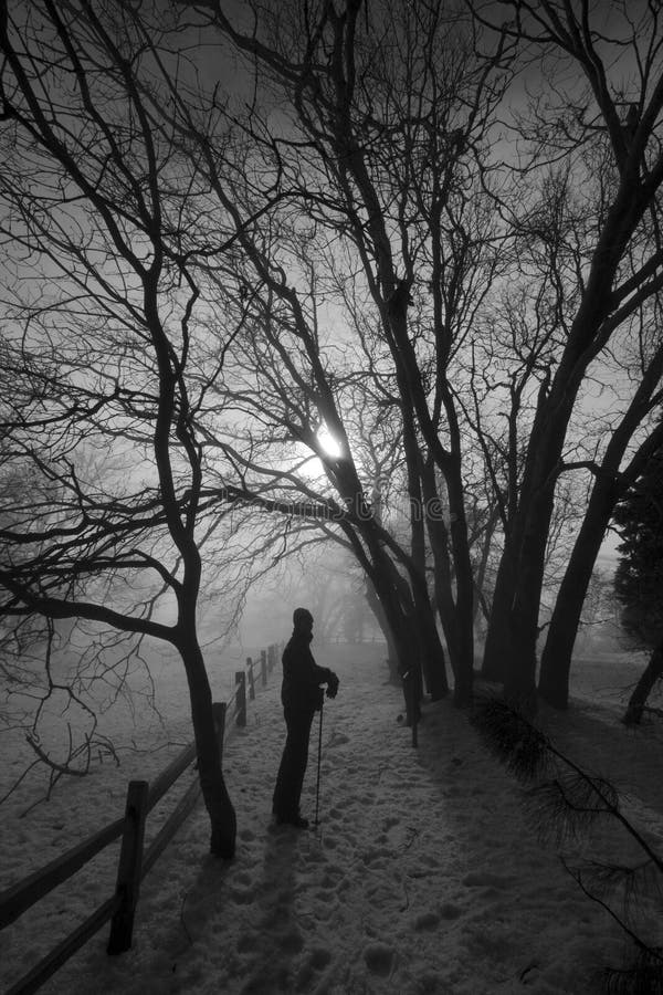 Foggy figure stock image. Image of trees, white, snow - 4734759