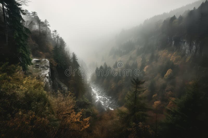 Foggy Forest with Misty Waterfall and View of the Valley Below Stock ...