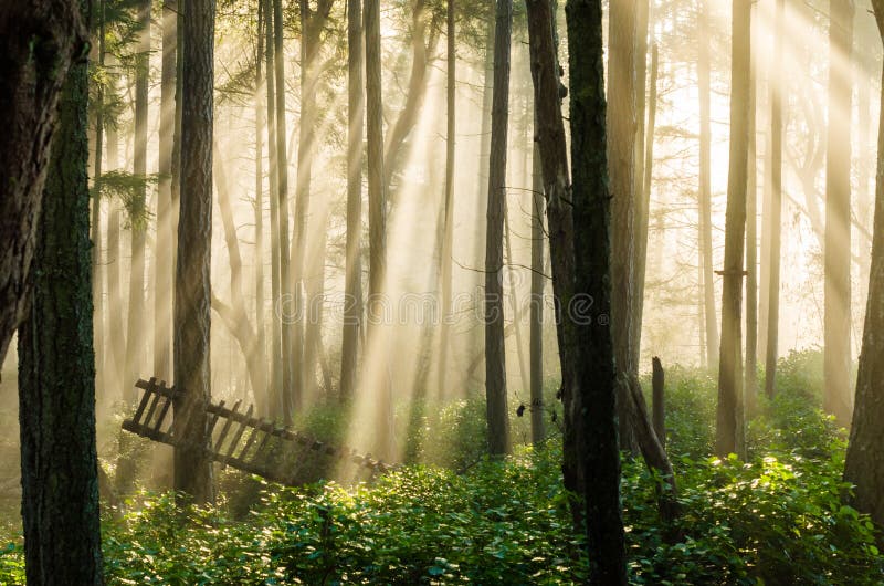 Swimming Pool Water Surface, Sunlight Reflections Stock Photo - Image ...
