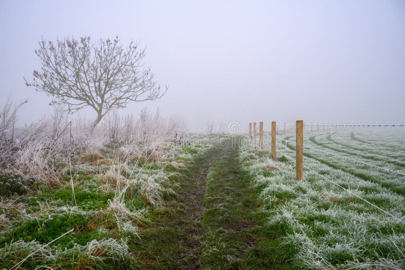 Foggy Rural Pathway through Fields Stock Photo - Image of england ...