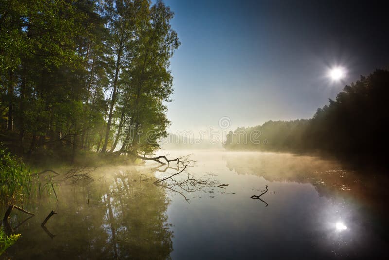 Foggy lake at sunrise stock image. Image of landscape - 21732545