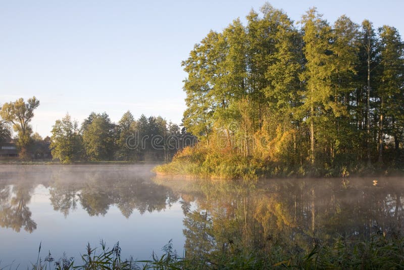 Foggy lake at sunrise stock photo. Image of sunrise, wilted - 3375100