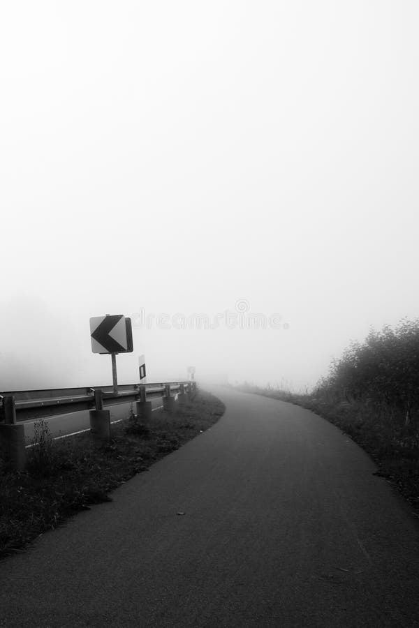 Foggy land stock image. Image of gorgius, trees, spectacular - 73621489