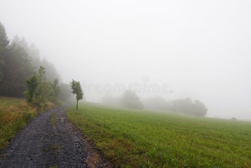 Foggy landscape stock image. Image of road, misty, tree - 26154273