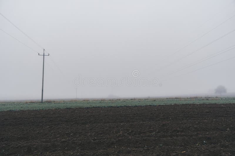 Foggy Landscape with Fields and Power Poles and Lines Stock Image ...