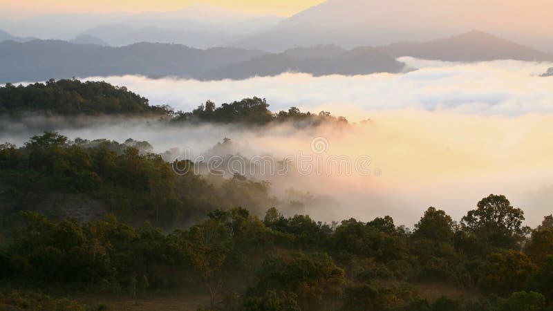 Foggy or Mist in the Morning Stock Image - Image of humidity, blurred ...