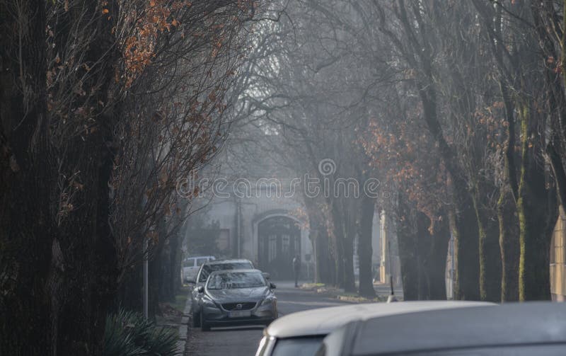 Foggy Monday morning .. stock image. Image of scene - 267826685