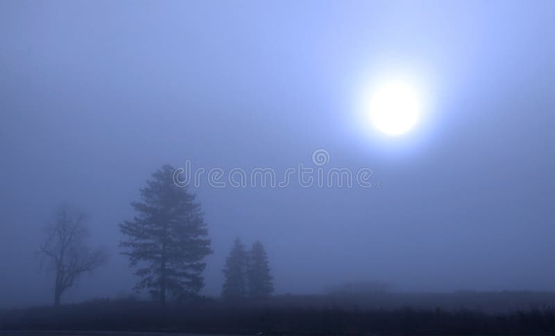 Foggy morning stock photo. Image of nature, dusk, morning - 12490470