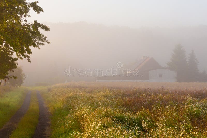 Foggy morning stock photo. Image of foggy, farm, lonely - 25602578
