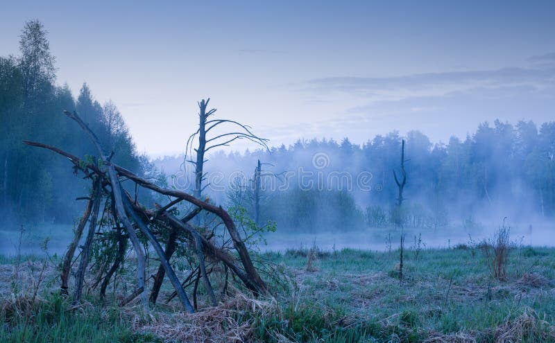 Foggy morning stock photo. Image of land, horizontal, road - 7145842