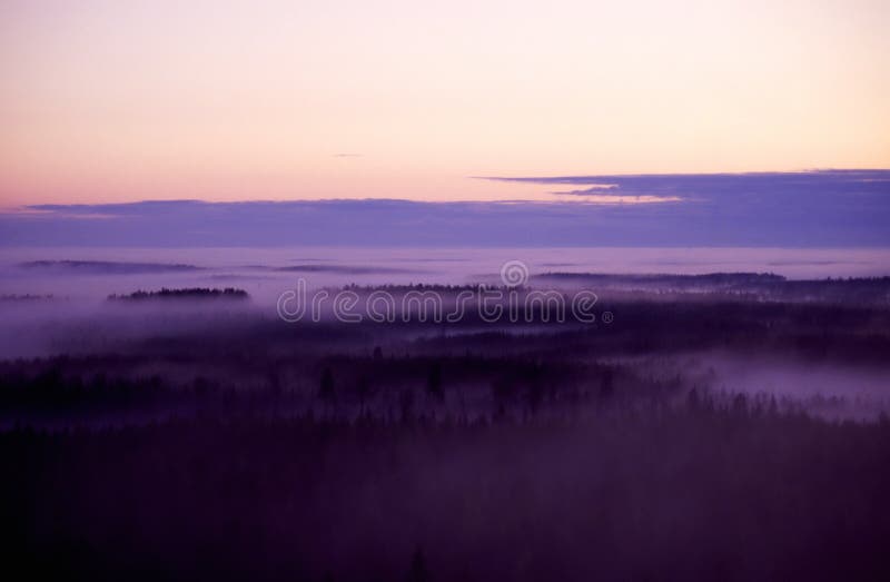 Foggy morning stock photo. Image of foggy, geotermisk - 4635916