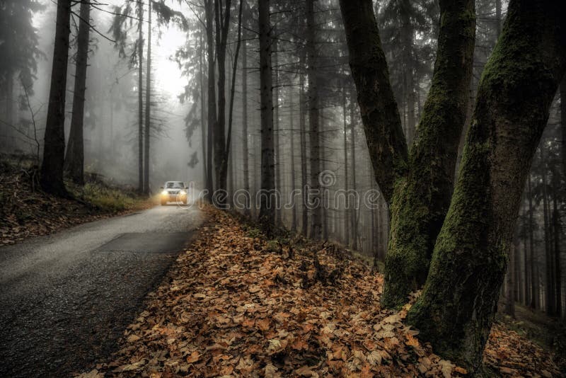 Foggy Morning in Autumn Forest with Asphalt Road Stock Photo - Image of ...