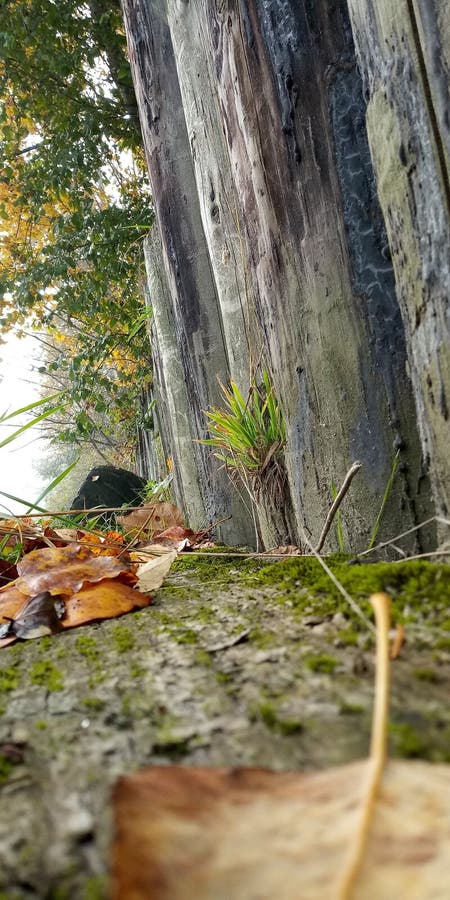 Crisp Cold Winter Day Downtown City Center Saint Paul MN Stock Photo ...