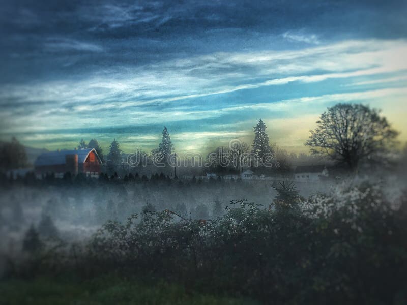 Foggy morning stock image. Image of blue, barn, morning - 93835457