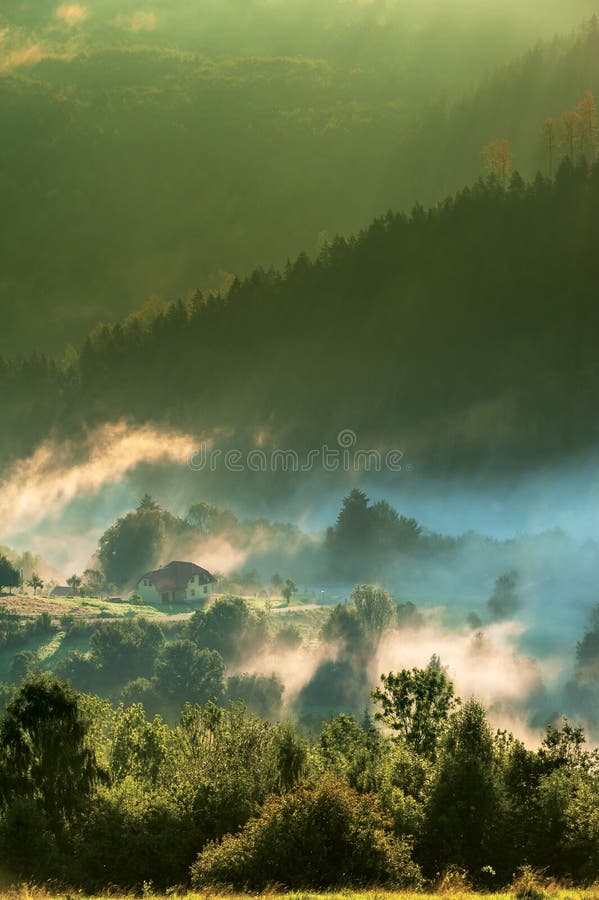 Foggy morning stock photo. Image of dawn, grass, meadow - 36714798