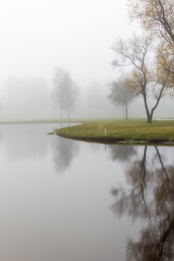 Foggy morning sunrise stock photo. Image of morning - 171507448