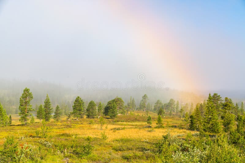 Foggy Morning in Nature with a Rainbow Stock Photo - Image of blue ...