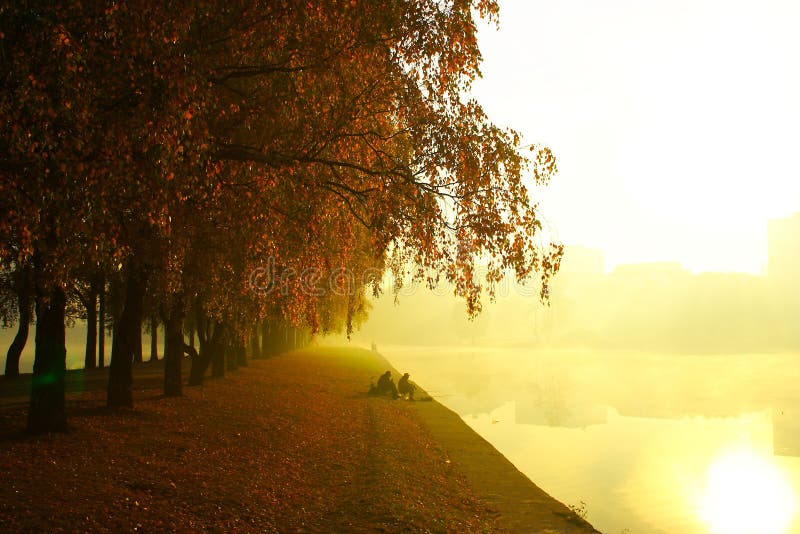 Foggy Morning Over the Lake, Fall Trees Reflected in Water Stock Image ...