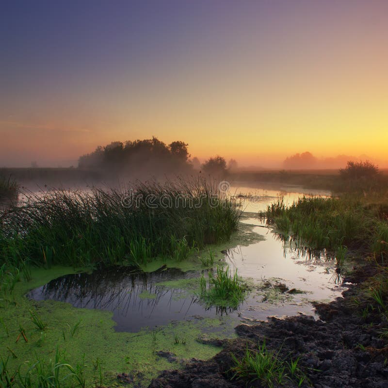 Foggy morning stock image. Image of reflection, beauty - 61521515